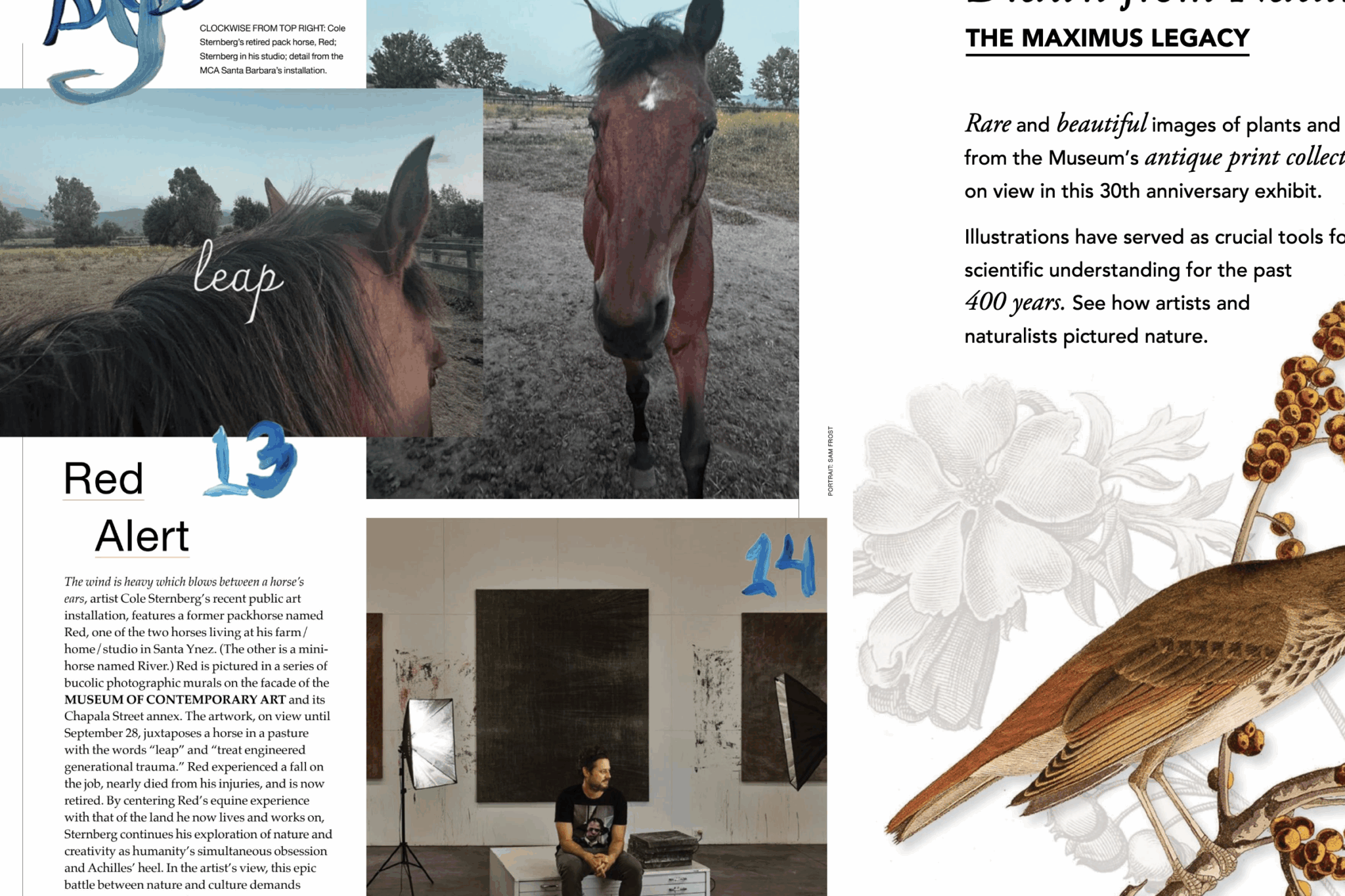 SB Magazine – Red Alert – Museum of Contemporary Art Santa Barbara